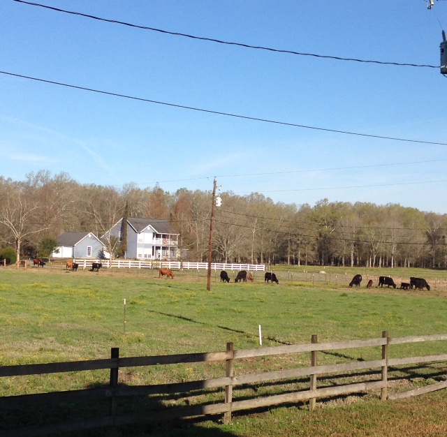 Cypress Bayou Farm. – the bayou gypsy