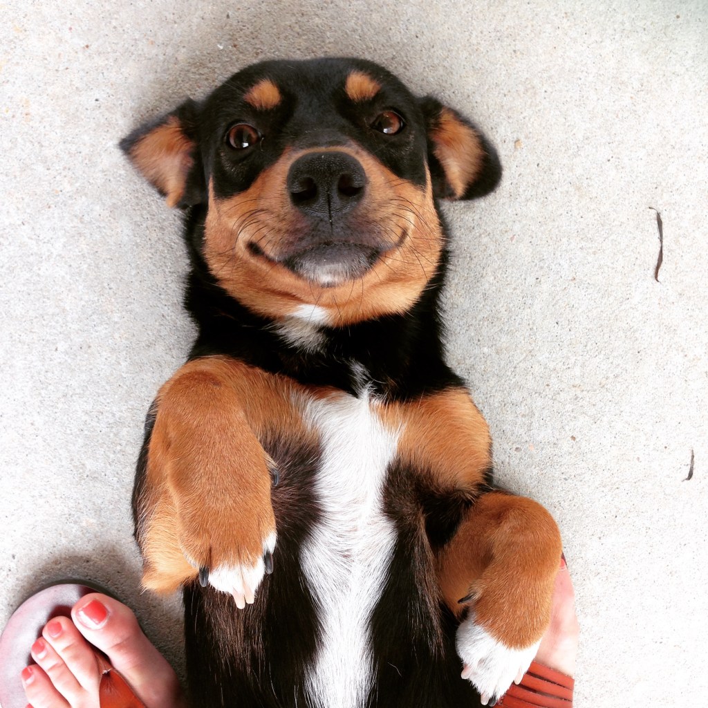 The Big Reveal. – the bayou gypsy