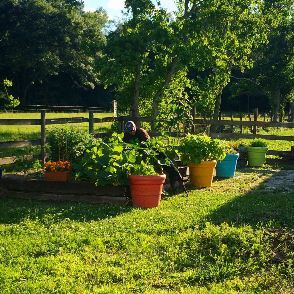 Spring at the Farm 2017. – the bayou gypsy
